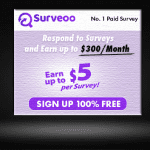Surveying Success: Unveiling the Earning Power of Surveoo.co